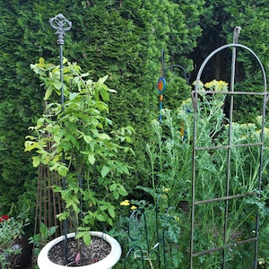 4' Garden Stakes Property Marker Driveway Marker Tree Stake WISE OAK ...