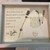 Sally Owens' Iconic Quote From Practical Magic Immortalized in Framed ...