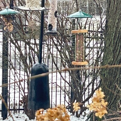 4 Animal Tile Guard, Drainage Guard, Varmint Pipe Guard, Squirrel Pipe ...