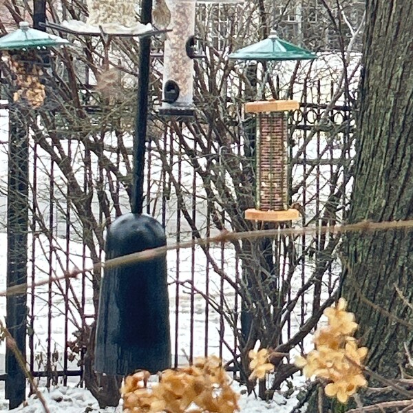 4" Animal Tile Guard, Drainage Guard, Varmint Pipe Guard, Squirrel Pipe ...