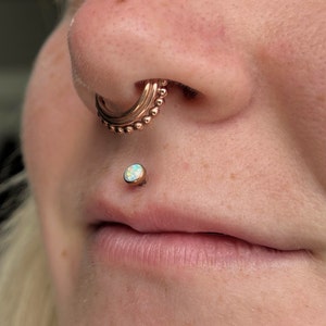 Solid Gold Wide Yellow Septum Ring Satin Finish Nose Ring - Etsy
