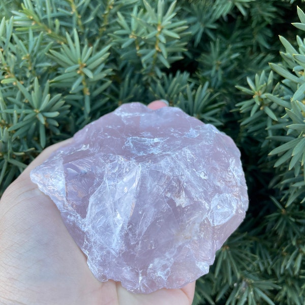 Jumbo Raw Rose Quartz Crystal - Etsy