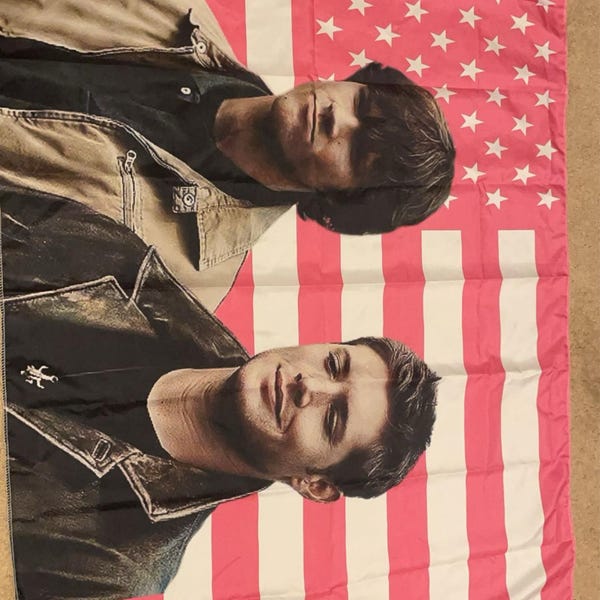 Ain't No Party Like A Diddy Party Funny Flag Tapestry, Meme Flag ...