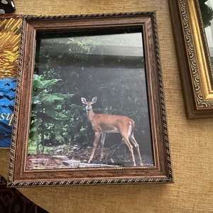 Handgun Concealment Picture Frame for Firearms Pistol Hand - Etsy