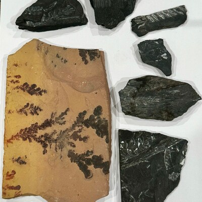 Mystery Rock & Mineral Box Random Rocks Minerals Some Raw Some Polished ...