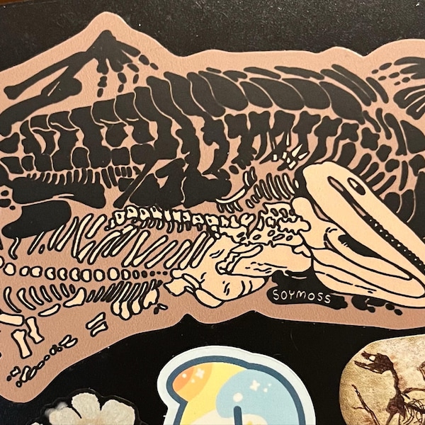 Triassic Cuddle Fossil Sticker - Etsy