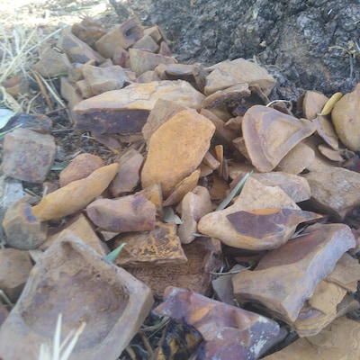 Spoon Leaved Moss Bryoandersonia Illecebra Live Terrarium Moss - Etsy