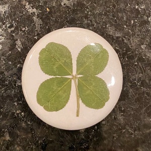 Real SEVEN Leaf Clover Genuine and Hand Picked ONLY ONE Laminated ...