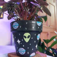 Hand Painted Pink Strawberry Cow Print Indoor Plant Pot, Terracotta ...