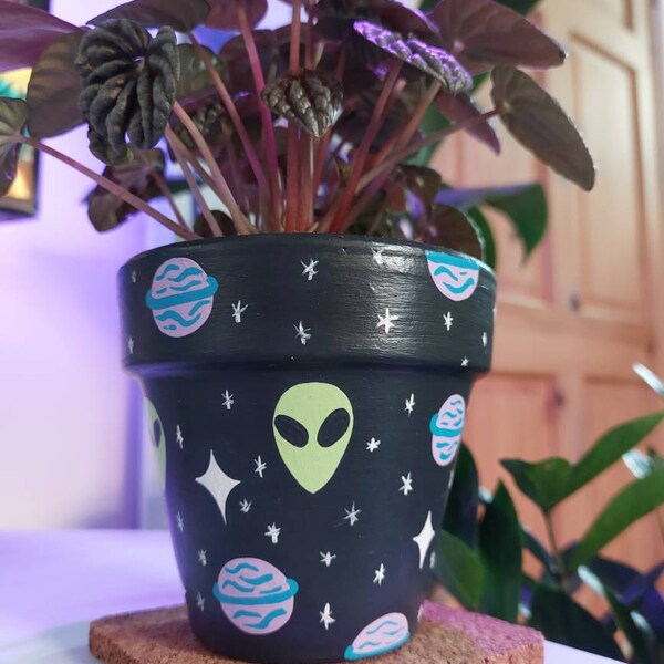 Hand Painted Baby Blue Bumble Bee Indoor Plant Pot, Terracotta Planter ...
