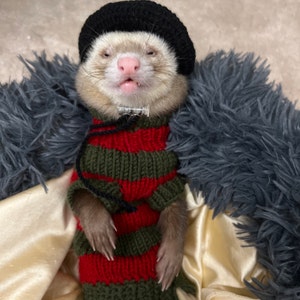 Bumblebee Costume for a Ferret. Ferret Clothing Halloween Pet - Etsy