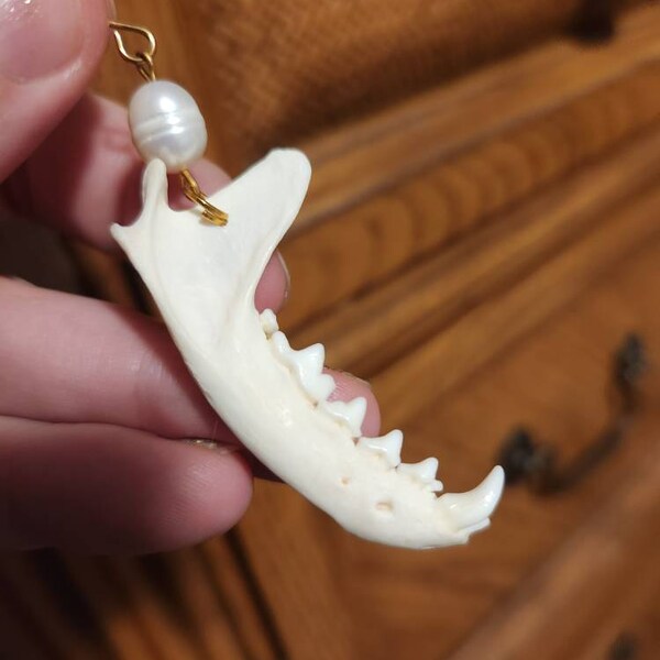 Mink Jawbone Earrings With Real Pearls: Handmade Bone Jewelry - Etsy