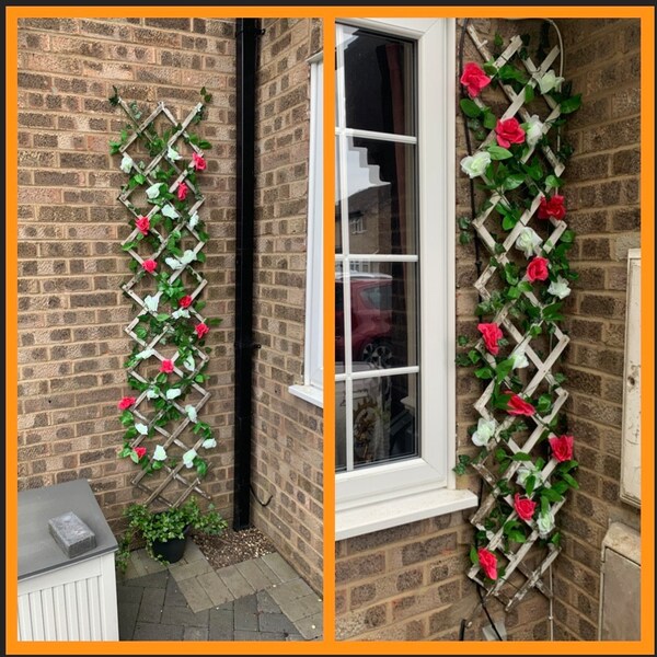 LED Clip Lights Clothes Peg Photo Hanger String Battery Powered - Etsy