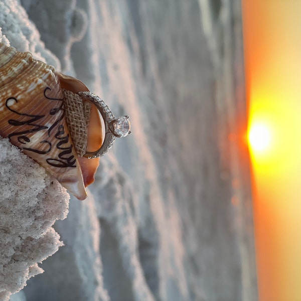 Proposal Seashell/conch Ring Box/ Marry Me Shell/proposal Ring Holder ...