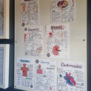 Medication Poster Set - Etsy UK