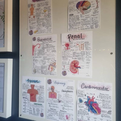 Medication Poster Set - Etsy UK