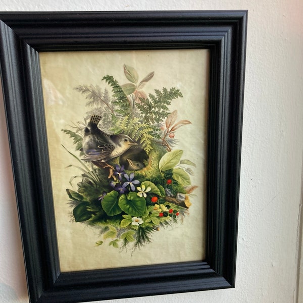 Birds in Nest Cottagecore Framed Reproduction Print, Nursery, Cabin ...