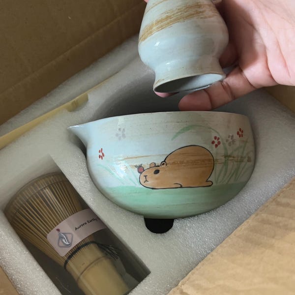 Hand Painted Cute Capybara Matcha Gift Set Matcha Bowl With Bamboo ...