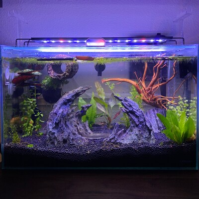 2-4 Gallon Nano Aquascape Decor SOUL CANYON Aquarium Dragon - Etsy