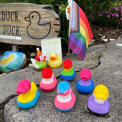 3d Printed Pride Ducks - Etsy