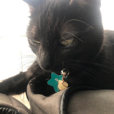 Raw, Natural Crystal Key Chains/pet Collar Charms You Choose the ...