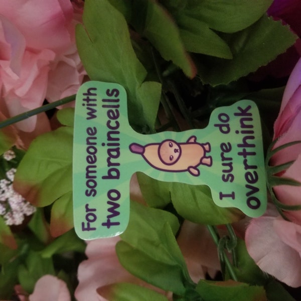 Funny Cat Meme Vinyl Sticker | for Someone With Two Braincells I Sure ...