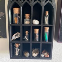 20 Item Curiosities Mystery Box Gift Real Animal Bones Fossils ...