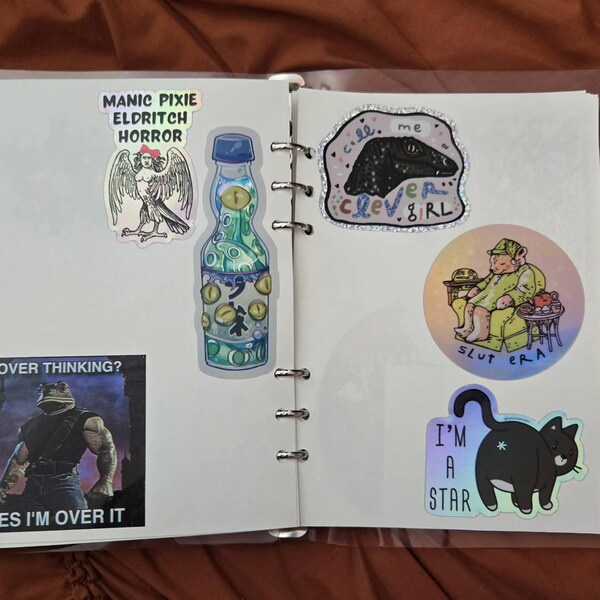 Do Not Claim to Be Whimsical | the Frog Mage Meme 8x10 Print - Etsy