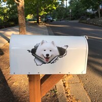 English Shepherd Car Decal, English Shepherd Magnet, English Shepherd ...