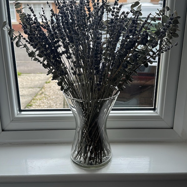 10/25 Natural Jumbo Cattails, Dry Pencil Cattail Bunch,dried Flower ...