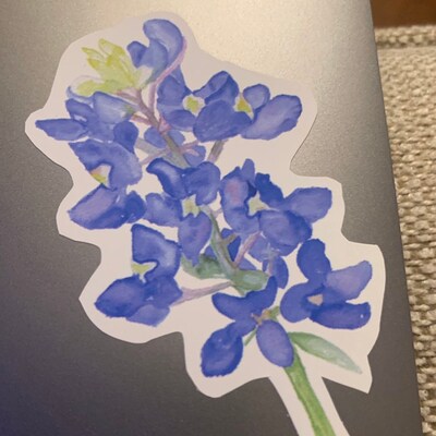 Bluebonnet Vinyl Sticker for Water Bottles and Laptops - Etsy