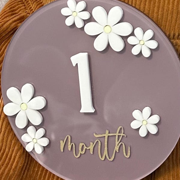 Acrylic Baby Milestone Marker, Baby Milestone Discs, Interchangeable ...