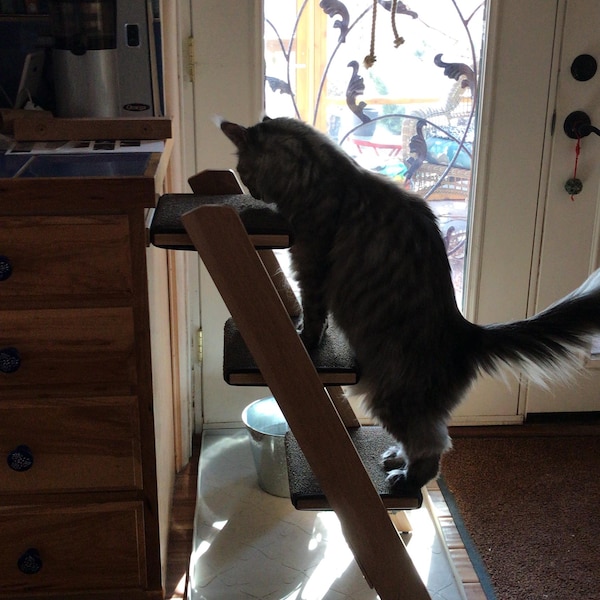 Cat Ladder - 3 Step Cherry Hardwood | Handcrafted High-quality Ladder ...