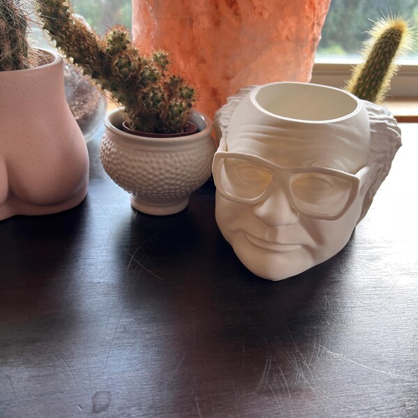 Danny Devito Planter: Frank Reynolds, 3D Printed PLA Succulent Pot ...
