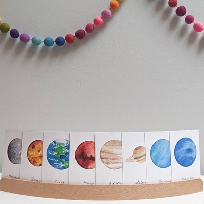 Wetland Animals 3 Part Cards, Montessori, Homeschool, Reggio Emilia ...