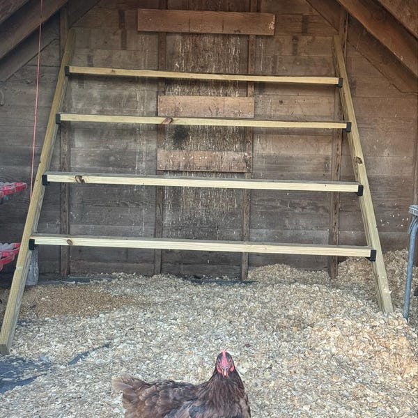 Chicken Roost Bar Mount / Bracket (pair) - Etsy