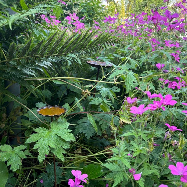 Large Metal Poppy Seed Heads. Rusted Sculptures for the Garden. Garden ...