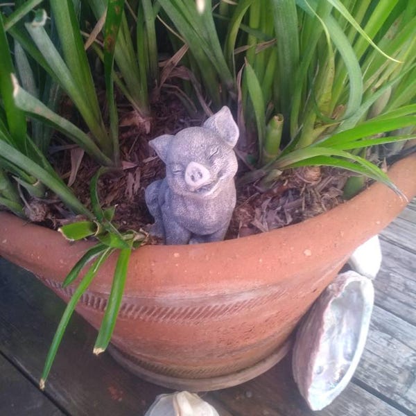 Frog Polyresin Hand Painted Poly Resin Realistic Garden Decor Statue ...