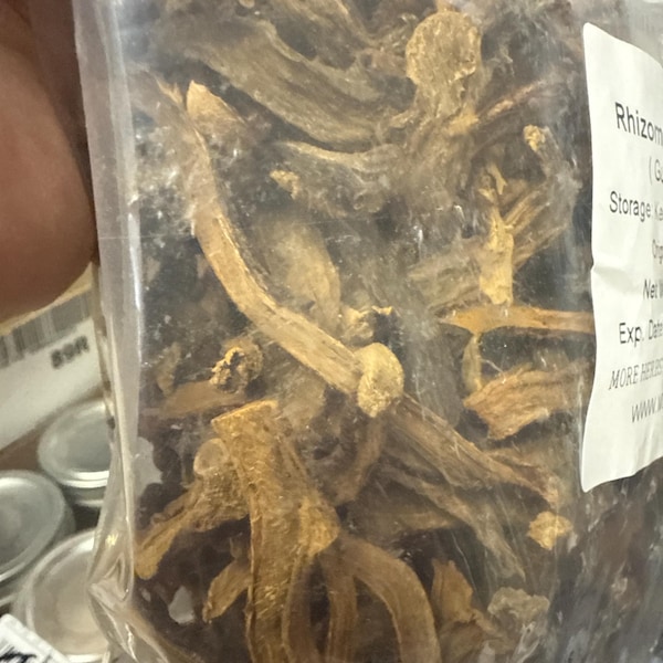 100% Pure Powder of Phellinus Linteus Chinese Song-gen Meshimakobu ...