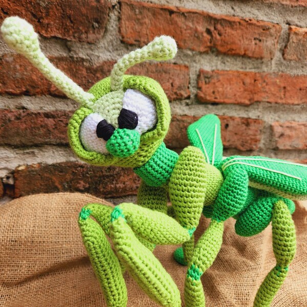 Praying Mantis - Crochet Pattern by Mala Designs ® - Etsy