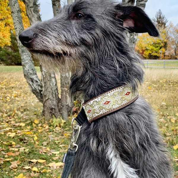 Comfortable, Soft&cosy, Elegant Whippet Martingale Collar. Width - 5 ...