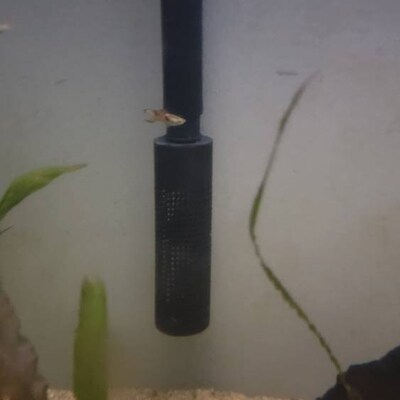 Seachem Tidal Smooth Flow Sheet Diffuser - Etsy