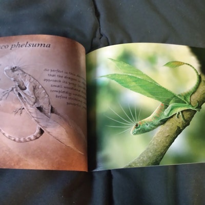 Draco Minimus Book - Etsy