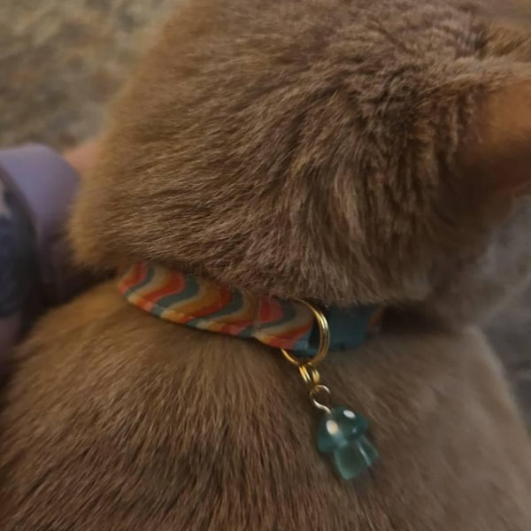 Fish Cat Collar With Bell and Charm, Cute Boy Cat Breakaway Collar ...