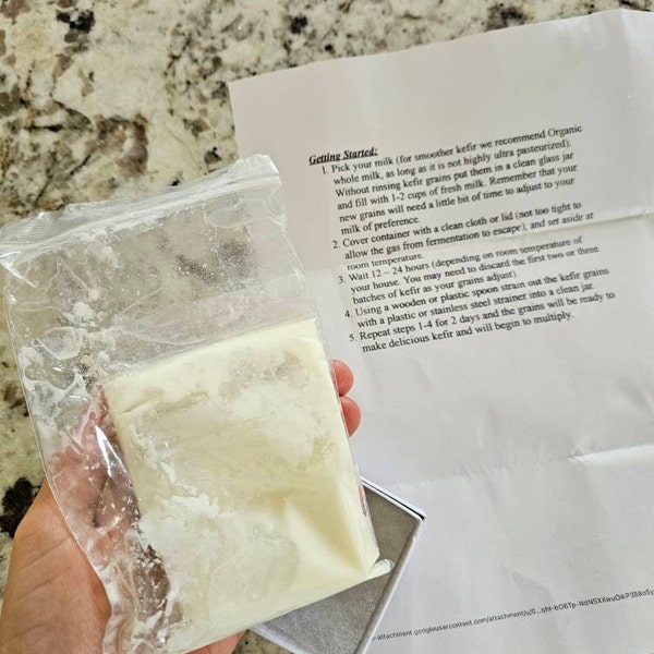Live and Active Scoby Kombucha Starter Culture With Instructions and 4 ...