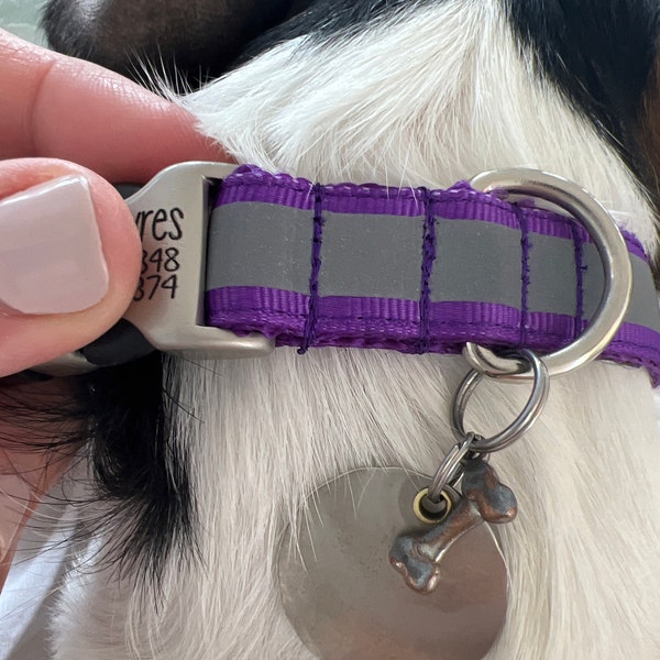 Personalized REFLECTIVE Dog Collar W Laser Engraved Buckle - 11 ...