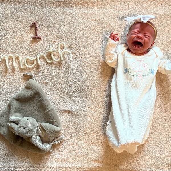 Baby Milestone Numbers Set (months, Numbers Only Not Including Days ...