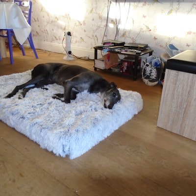 Custom Blank Wooden Clock Face Circle Round Ply Wood Wall - Etsy