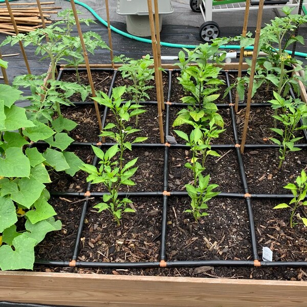 2x4 Garden Grid™ Watering System - Etsy