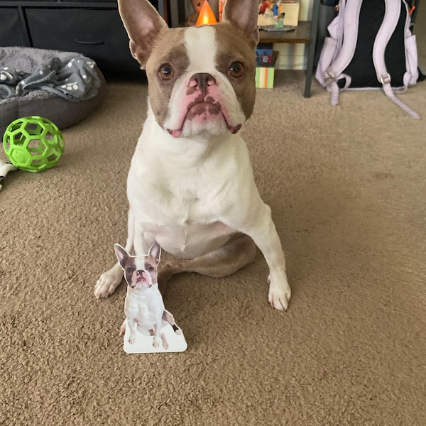 Custom Big Large Face Fans With Wooden Handle, Wedding Heads ...